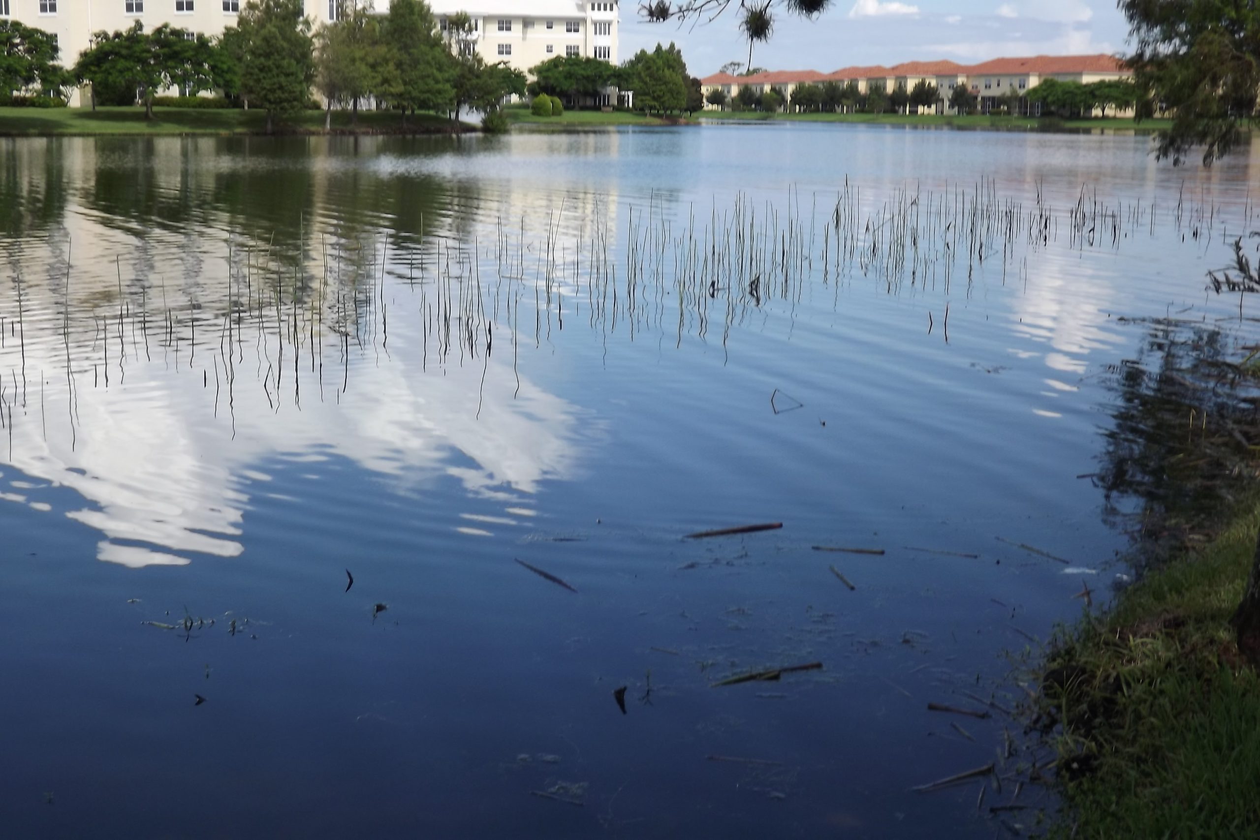 Floridaquatic Lake Management Service | FloridAquatic, Inc. manages ...